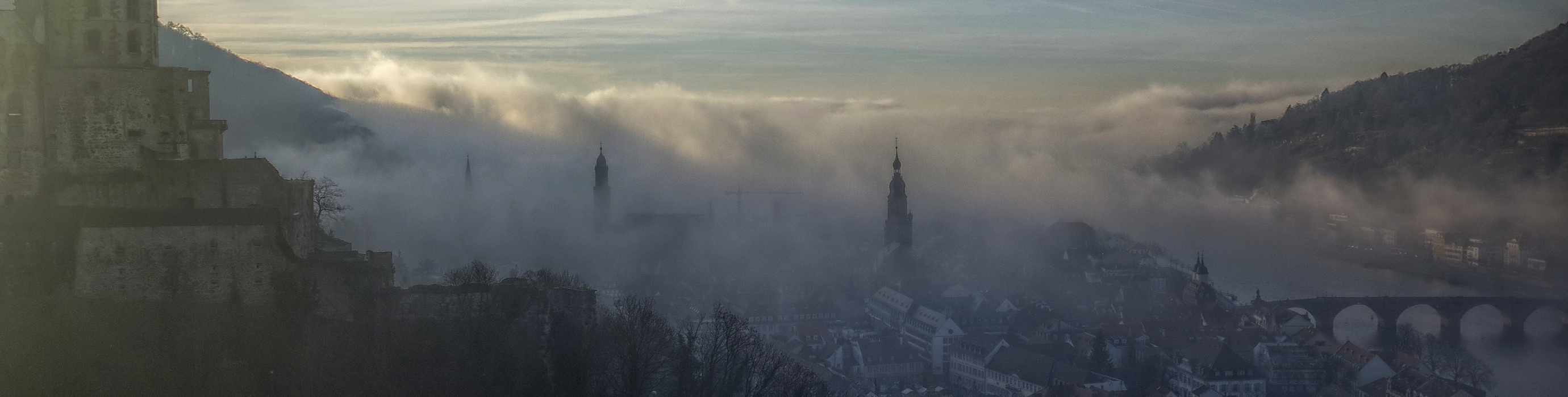 HAWAII Lab - Members - HAWAII Lab